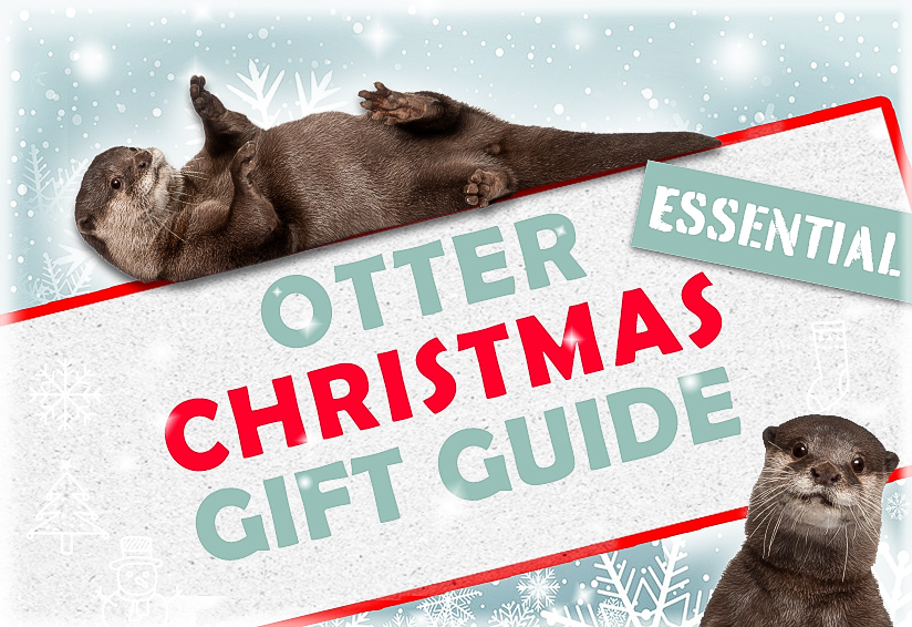 Top 10 Christmas Gifts For Otter fans - In Otter News