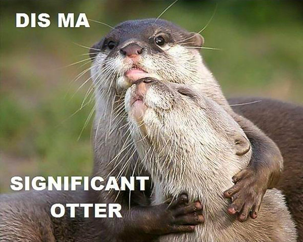 Dis My Significant Otter - In Otter News