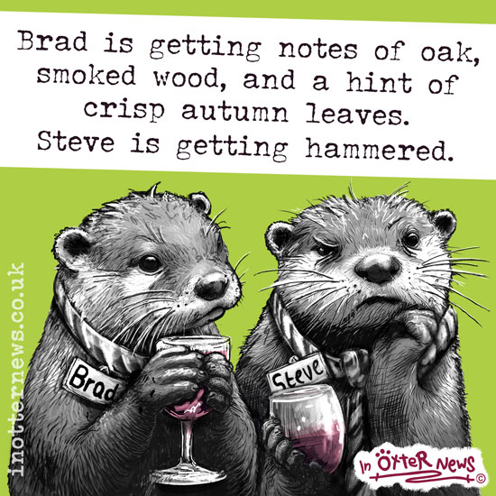 Hammered - Steve otter - In Otter News