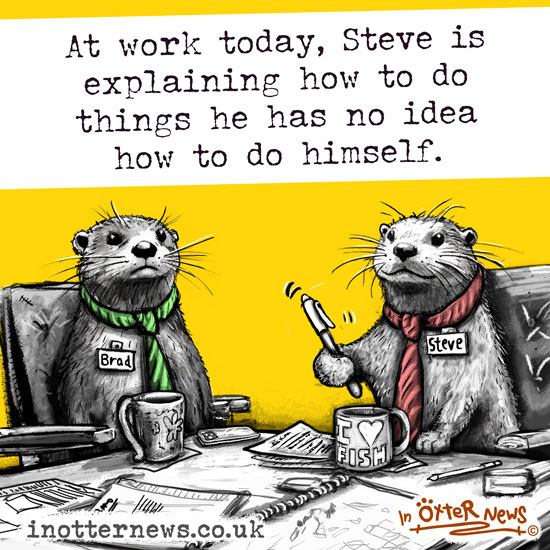 Steve Explains - Steve otter - In Otter News