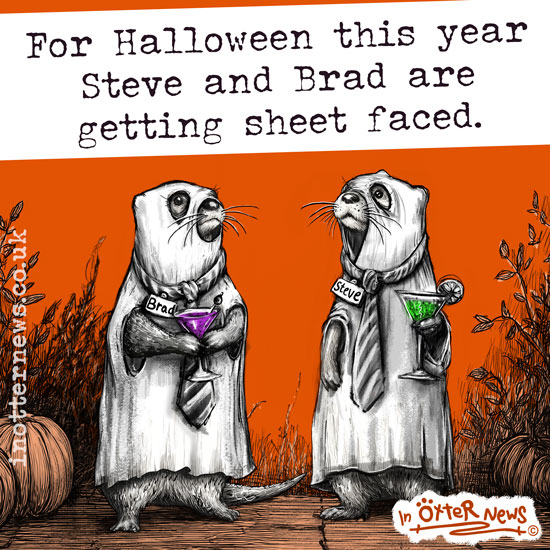 Sheet Faced - Steve otter - In Otter News