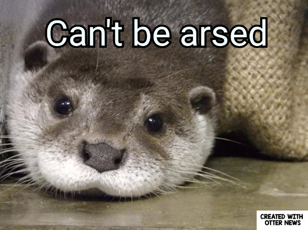 Can't be arsed - In Otter News