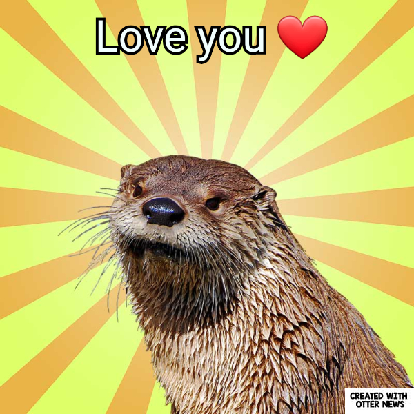 Love you - In Otter News
