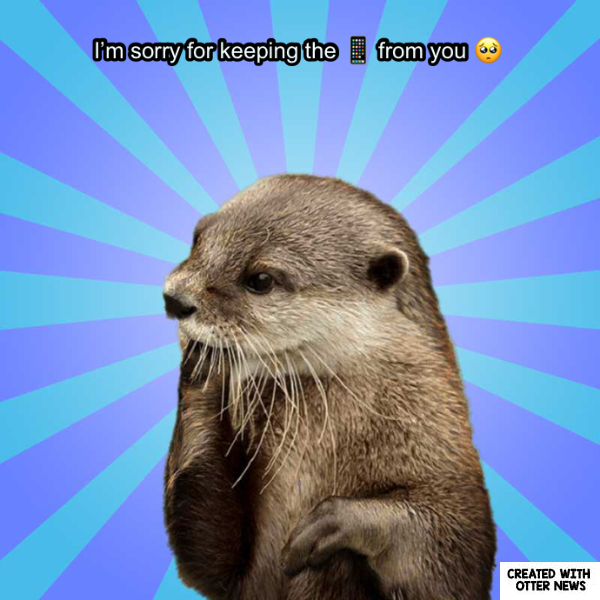 I’m sorry for keeping the 📱 from you 🥺 - In Otter News